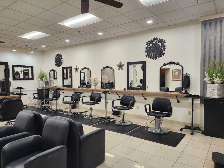 About | Adonis Hair Salon and Day Spa